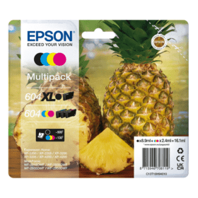 Epson 604XL Black and 604 Colour Ink Cartridges Multipack (C13T10H94010)