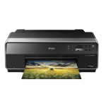 Epson Stylus Photo R3000 Ink Cartridges | Next Day Delivery Available